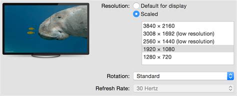 Image result for How to Add Custom Display Resolution for External Monitor