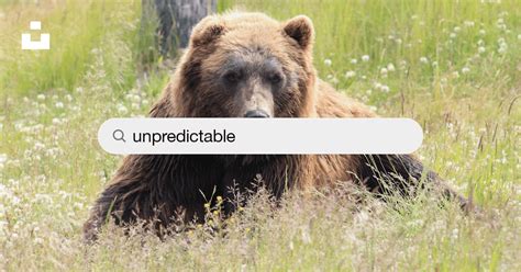 Image result for Unpredictable Open PNG