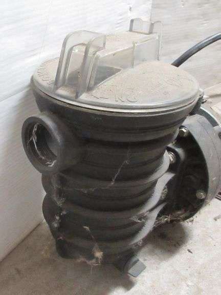 Image result for Sta-Rite Pump with Handle