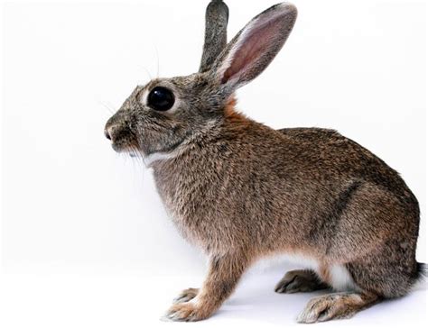 Image result for Pro Tools Course