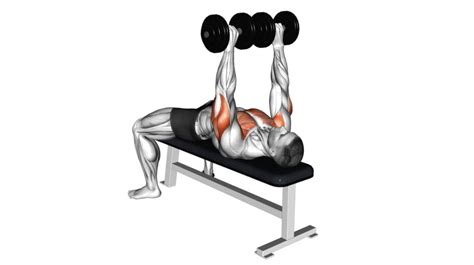 10 Bench Exercises For A Full-Body Workout: How To Use A Workout Bench ...