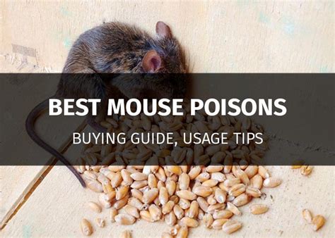 Image result for Mouse Pellets Poison