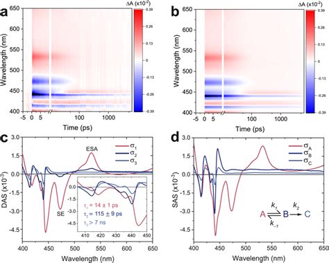 Image result for Transient Absorption Spectroscopy