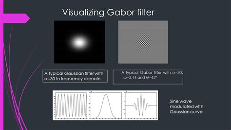 Image result for Gabor Filter Applications