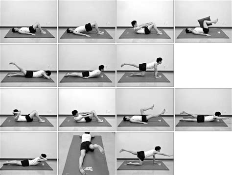 Image result for Dynamic Core Stability Exercises