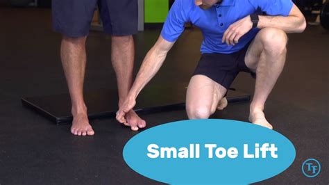 Image result for Toe Lift Exercise