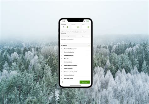 Image result for Example of RPA Bird Count