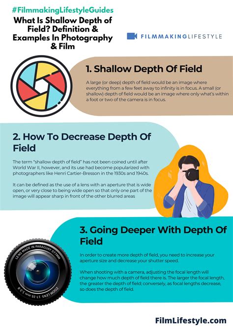 Image result for Shallow Depth of Field Photography Examples