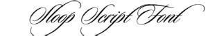 Image result for Sloop ScriptPro Embroidery Font