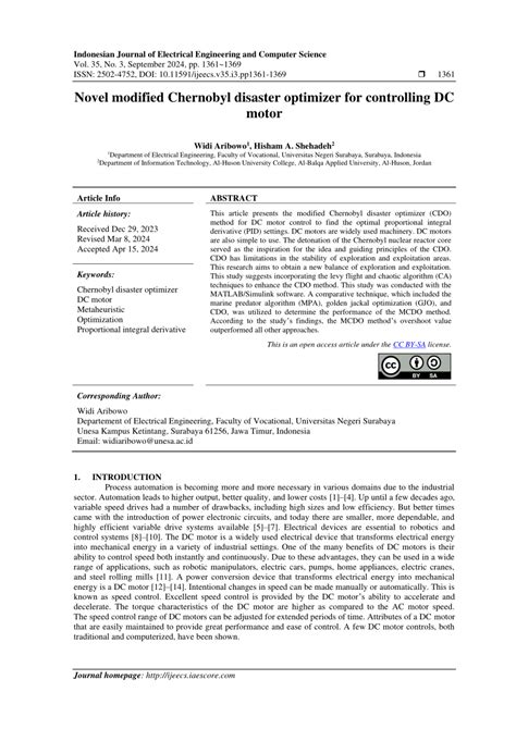 Image result for Chernobyl Disaster Optimizer