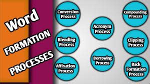 Image result for Back-Formation