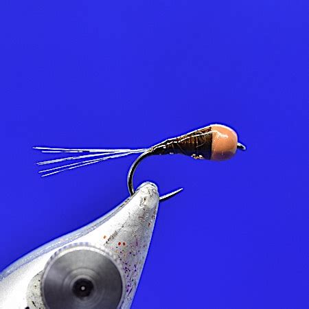 Image result for Pleava Perdigon Fly Pattern