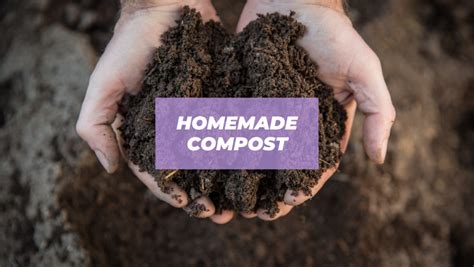 Image result for Using Homemade Garden Compost
