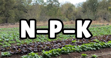 Image result for NPK Numbers