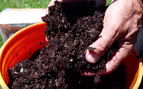 Image result for Simple Compost Pile