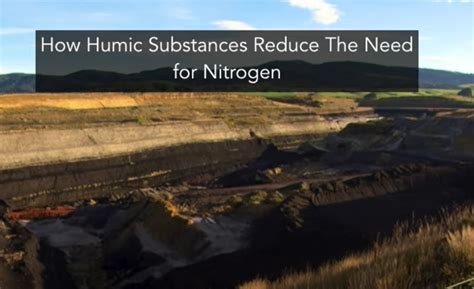 Image result for Humic Compounds