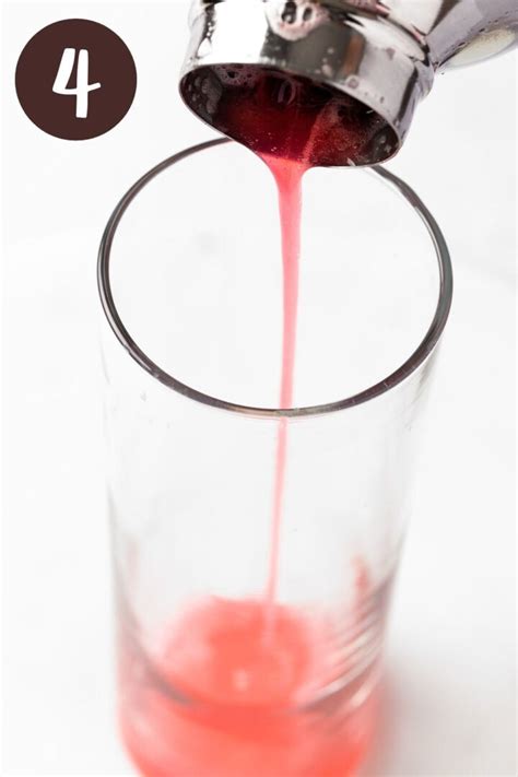 Image result for Raspberry Gin Fizz