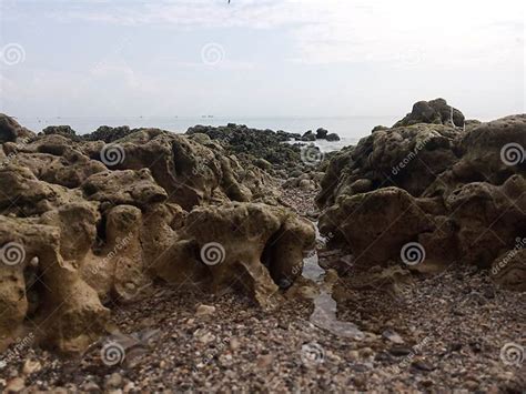 Image result for Java Island Rocks