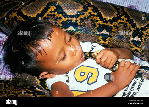 Image result for Python Inherited Traits Reptile