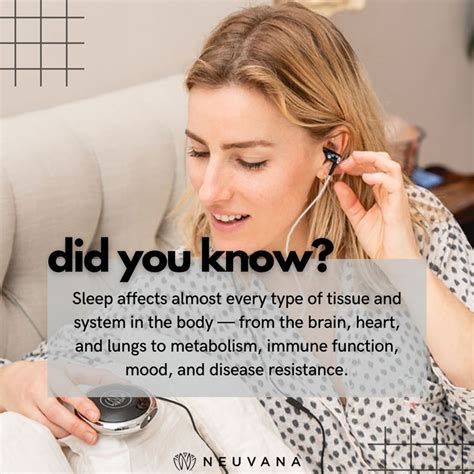 Image result for Sleep Is Essential for Learning