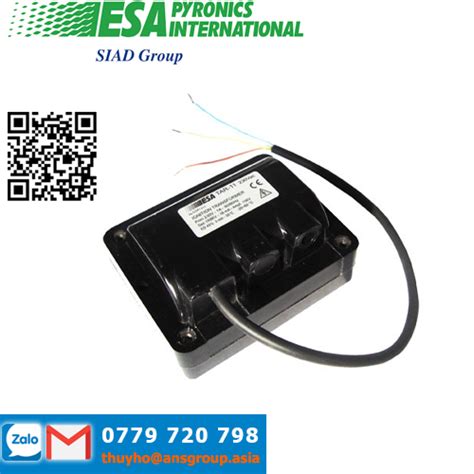 Image result for Spark Plug Esa Pyronics