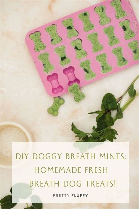 Image result for Homemade Toothpaste Breath Mints