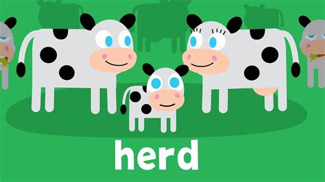 Image result for Compass Learning Word Herd