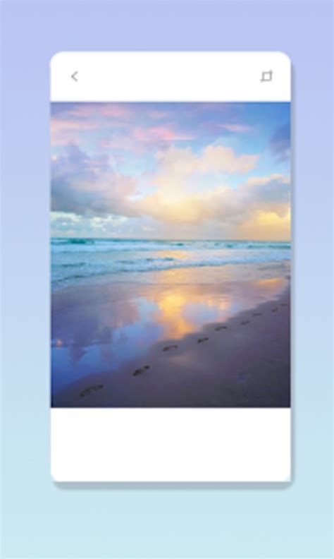 Image result for Video Magnifier