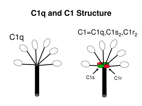 Image result for Complementary System