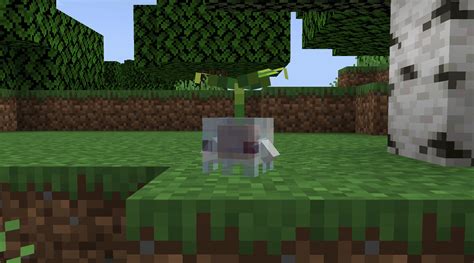 Image result for Minecraft Ghost Mod