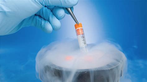 Image result for Watch Embryo Transfer