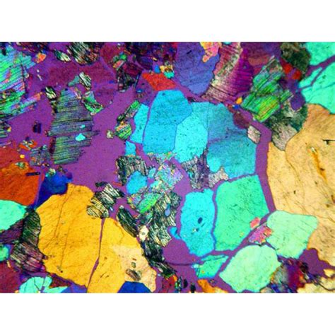 Image result for Polarized Microscope