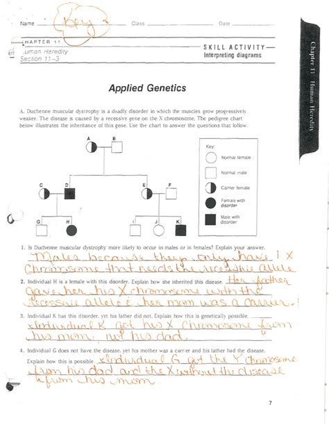 Image result for Human Genetics Worksheet Answers