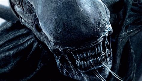 Image result for Alien Co-op