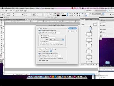 Image result for InDesign Numerotation