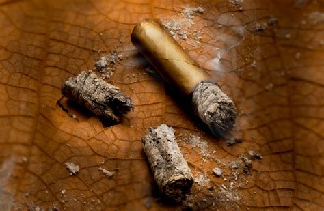 Image result for Exploding Cigar Mythbusters