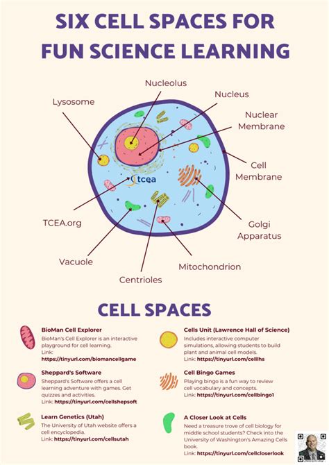 Image result for Learning Cells
