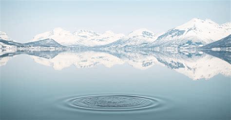 Image result for Workplace Resolving