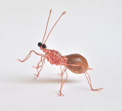 Image result for Insects Using Fuzzy Wire