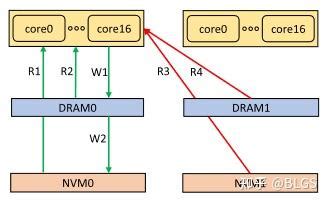 Image result for Numa Python