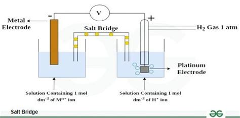 Image result for Practical of Salt Bridge