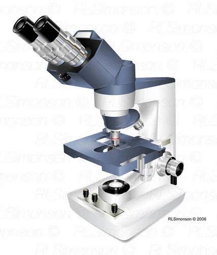 Image result for Scientific Microscope