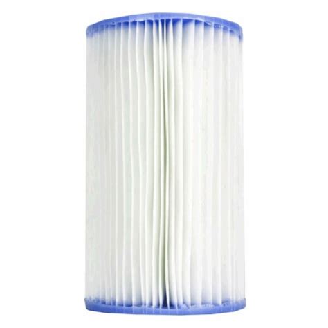 Image result for Intex Filter Cartridges