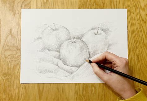 Image result for How to Draw a Tree in Hatching