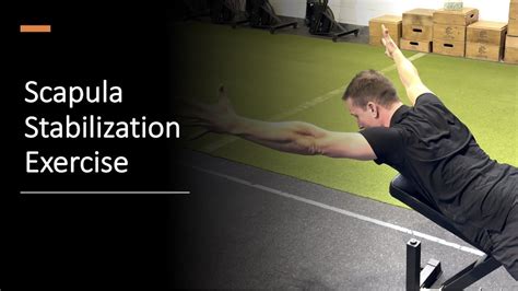 Image result for Scap Stability Exercises