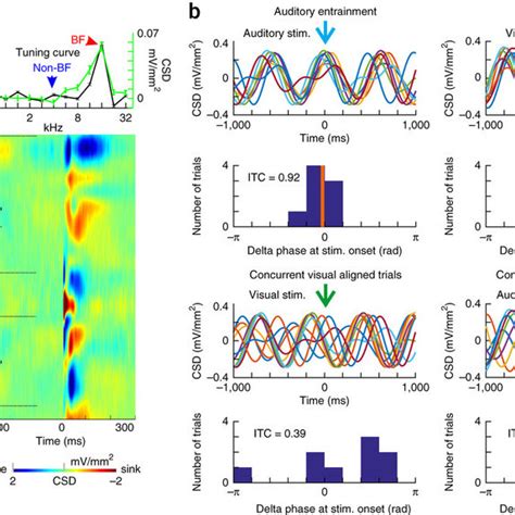 Image result for Linear Array Recording