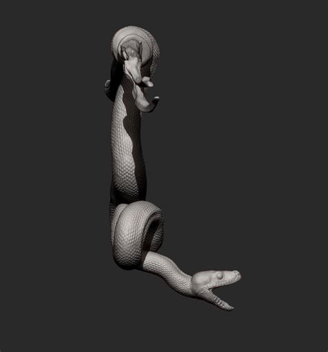 Image result for Python 3D Model