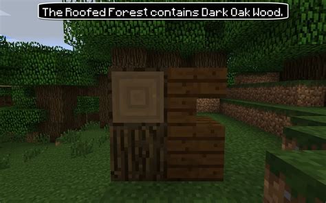 Image result for Minecraft Updates That Changed