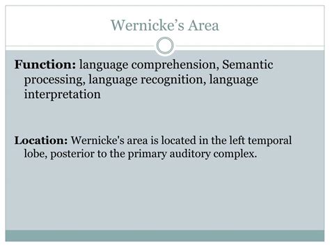 Image result for The Function of the Wernicke Connection
