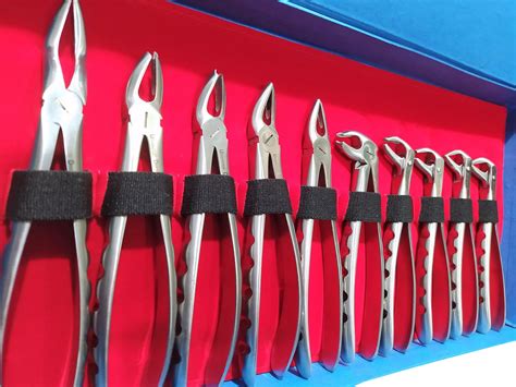 Image result for Extraction Forceps